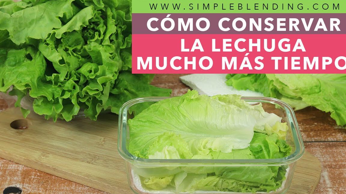 ᐈ como evitar que lechuga ponga mala [ 2025 ] Revista Antidoto